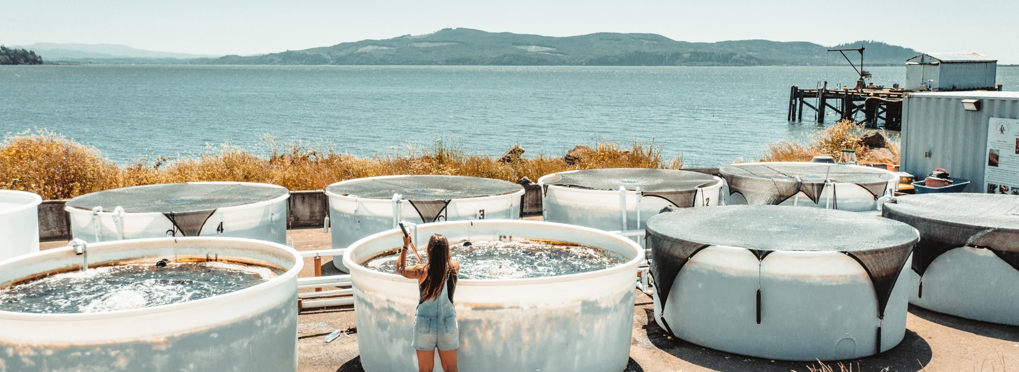 Oregon’s Edible Seaweed Revolution - Travel Oregon