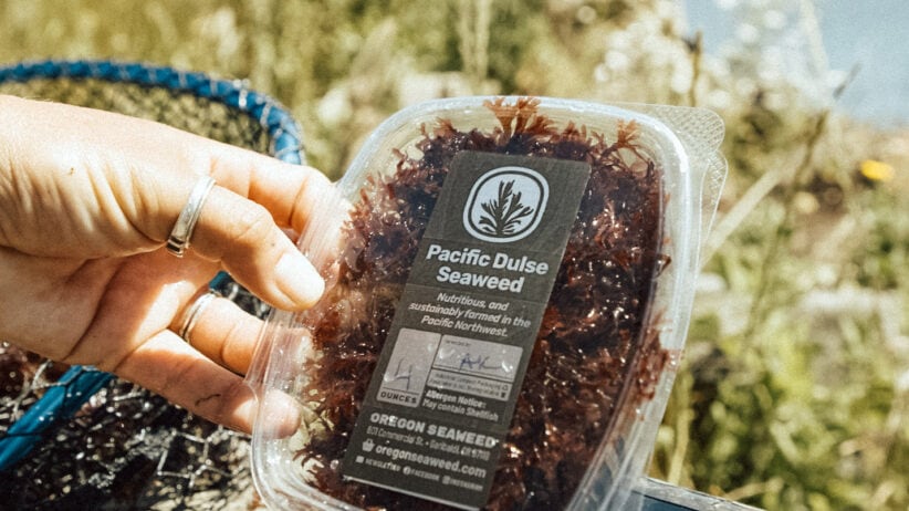 Oregon’s Edible Seaweed Revolution - Travel Oregon