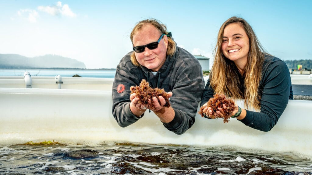 Oregon’s Edible Seaweed Revolution - Travel Oregon
