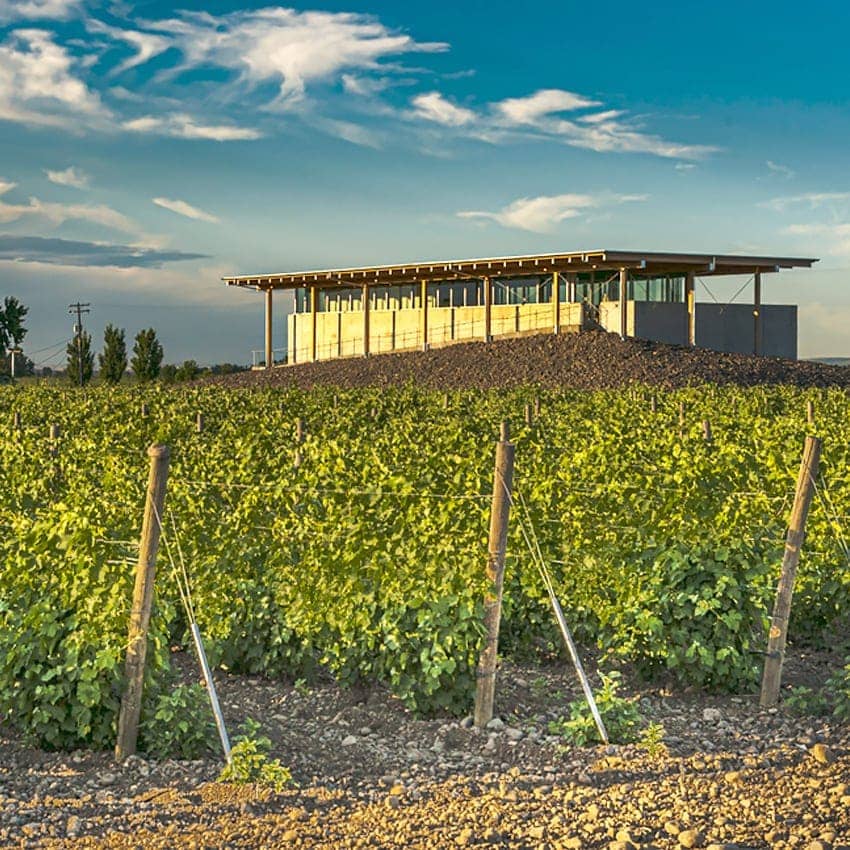 Oregon Wine Tasting 101 - Travel Oregon