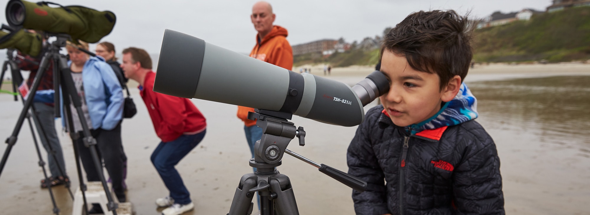 Beginner’s Guide to Spotting Oregon Coast Seabirds - Travel Oregon