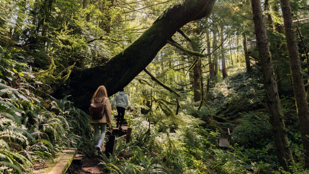 Take a Wellness Retreat on the Oregon Coast - Travel Oregon