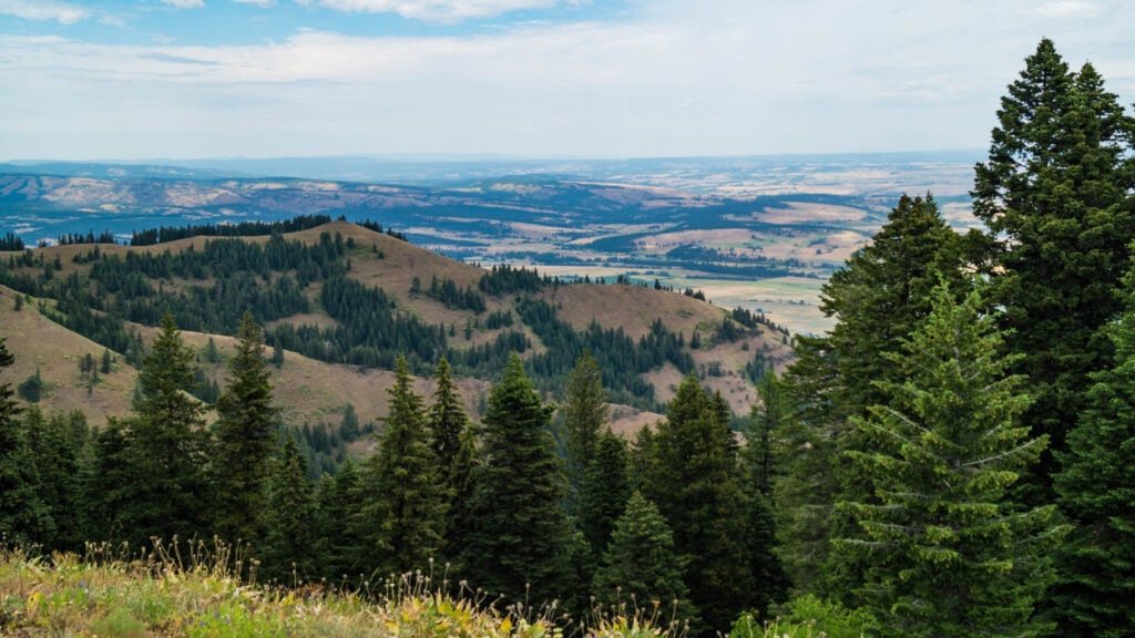 Off-the-Beaten-Path Road Trips on Oregon’s State Scenic Corridors ...