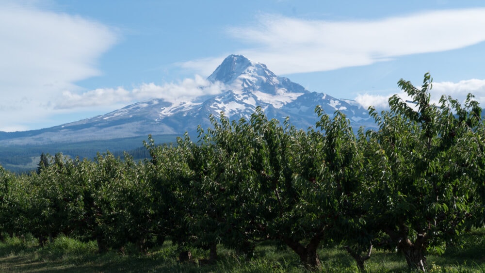 Travel Oregon with Anika Morkowski and Adventures Without Limits ...