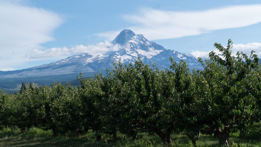 Descubre Oregon con Anika Morkowski y Adventures Without Limits ...