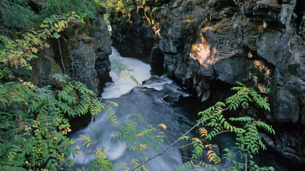 6 Must-See Waterfalls Along the Rogue and Umpqua Rivers - Travel Oregon