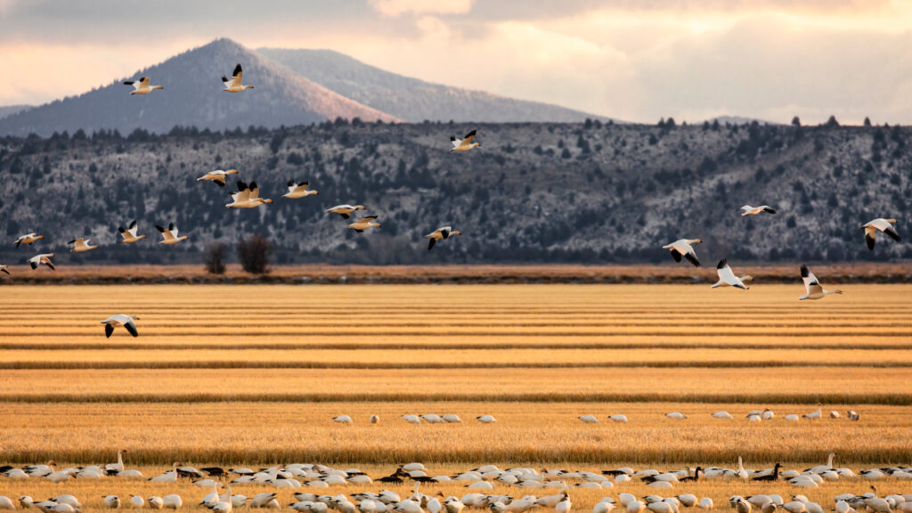 3 Cozy Getaways in Klamath County - Travel Oregon