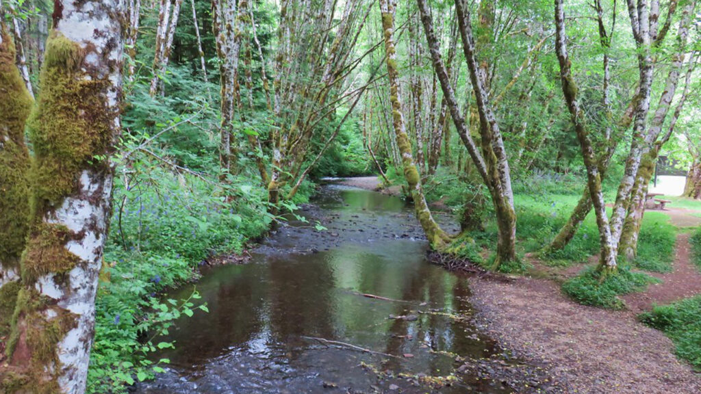 Oregon Rest Stops That Stand Above the Rest - Travel Oregon