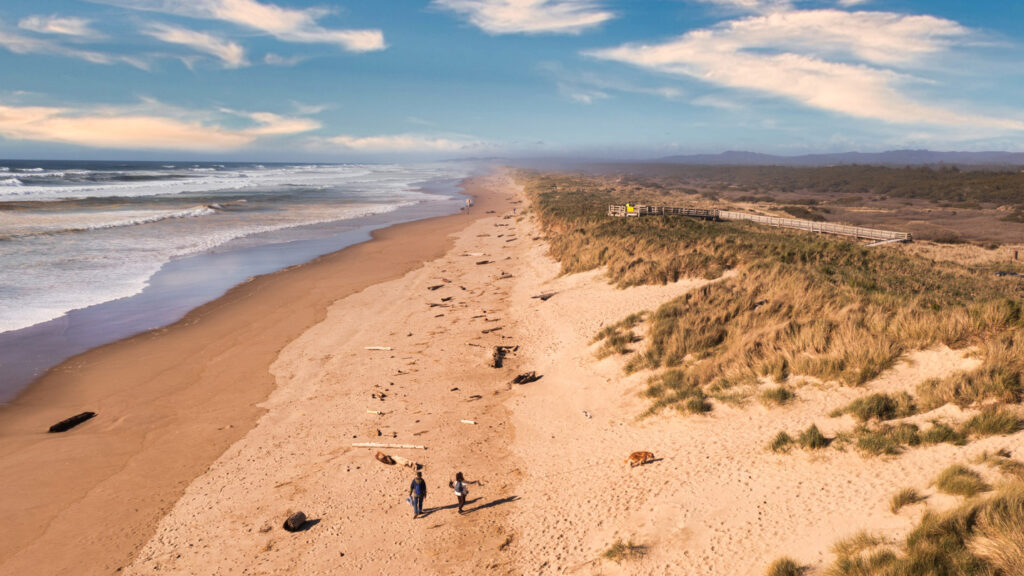 Trek the Sandy Slopes of the Oregon Dunes - Travel Oregon