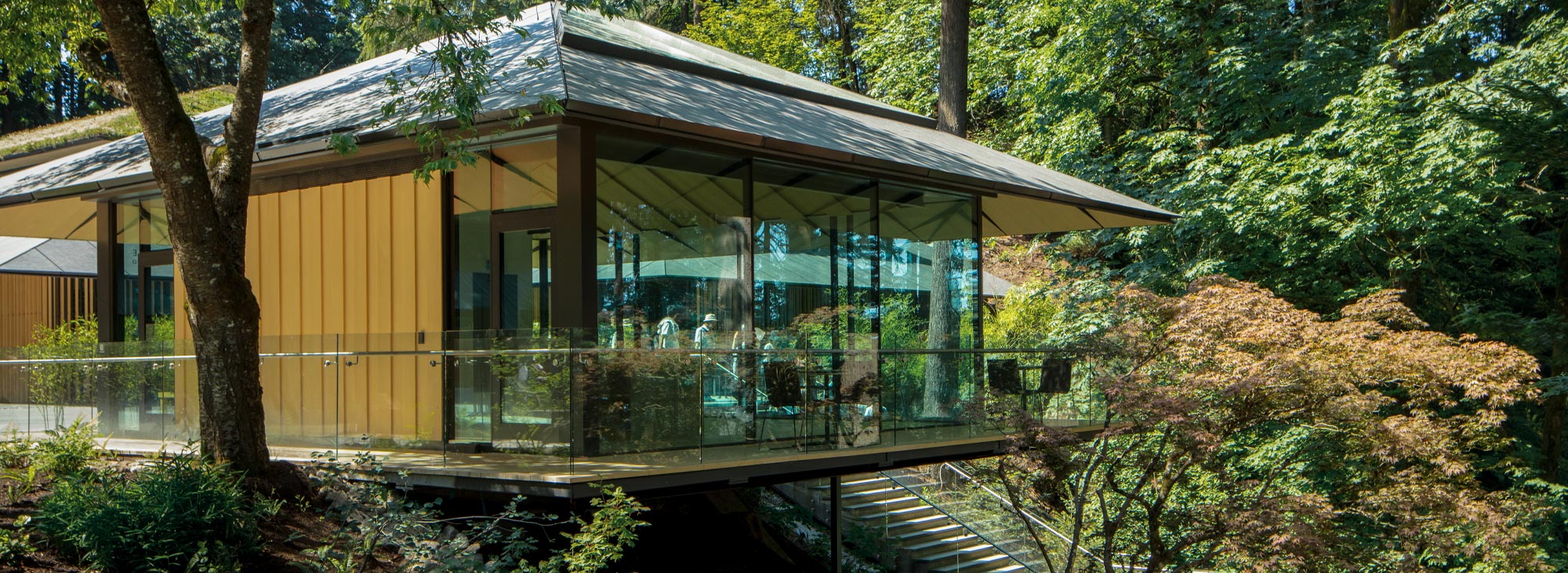 Where to Find a Great Cup of Tea in Portland - Travel Oregon