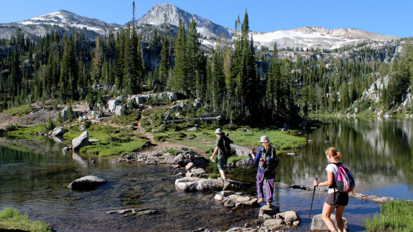 Meet Oregon’s Wild Wolverines - Travel Oregon