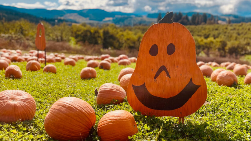 3 Seasons of Family Fun at Packer Orchards - Travel Oregon