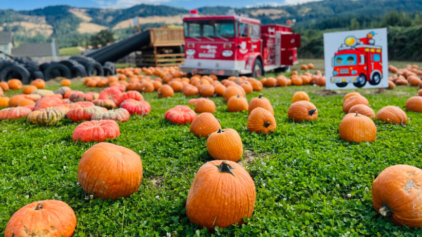 Guide to Oregon's Pumpkin Patches - Travel Oregon