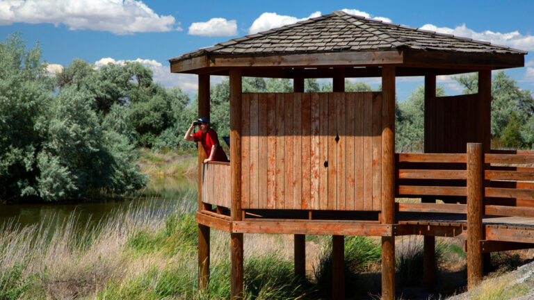 Oregon's Best Fall Birding Trails - Travel Oregon
