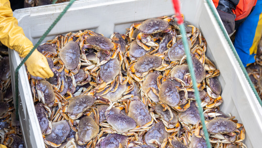 Crabbing Season on the Oregon Coast - Travel Oregon