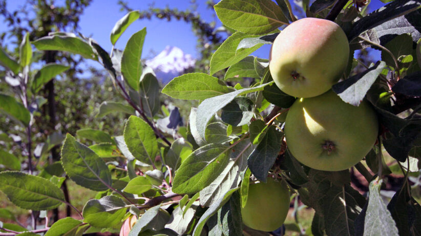 How to Enjoy Oregon’s Bounty With Less Waste - Travel Oregon