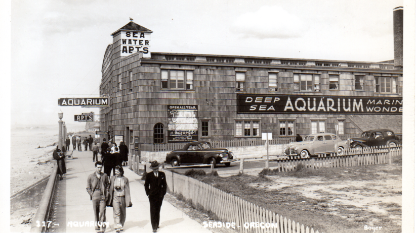 Meet Oregon’s Marine Life at the Seaside Aquarium - Travel Oregon