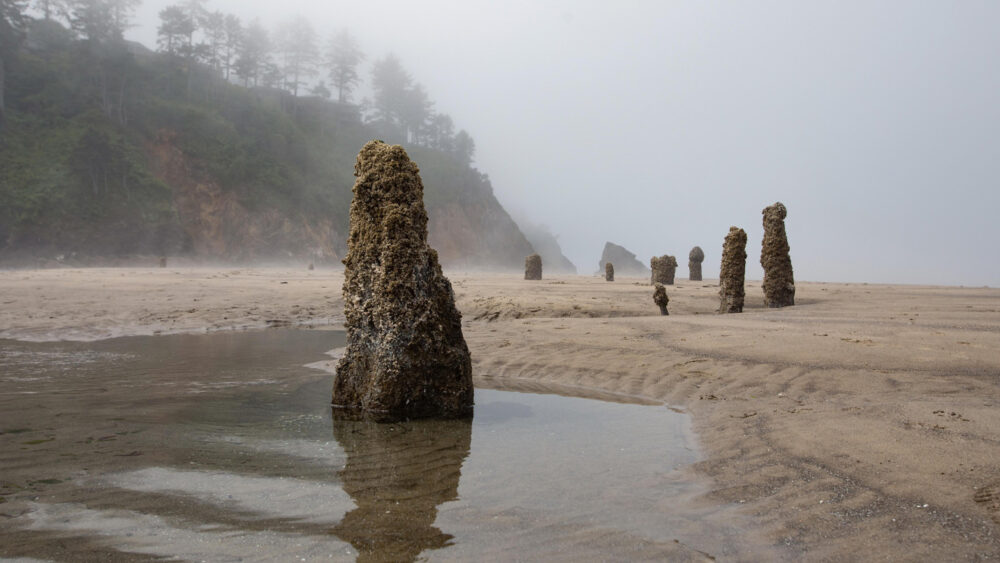 Low-Tide Adventures on the Oregon Coast - Travel Oregon